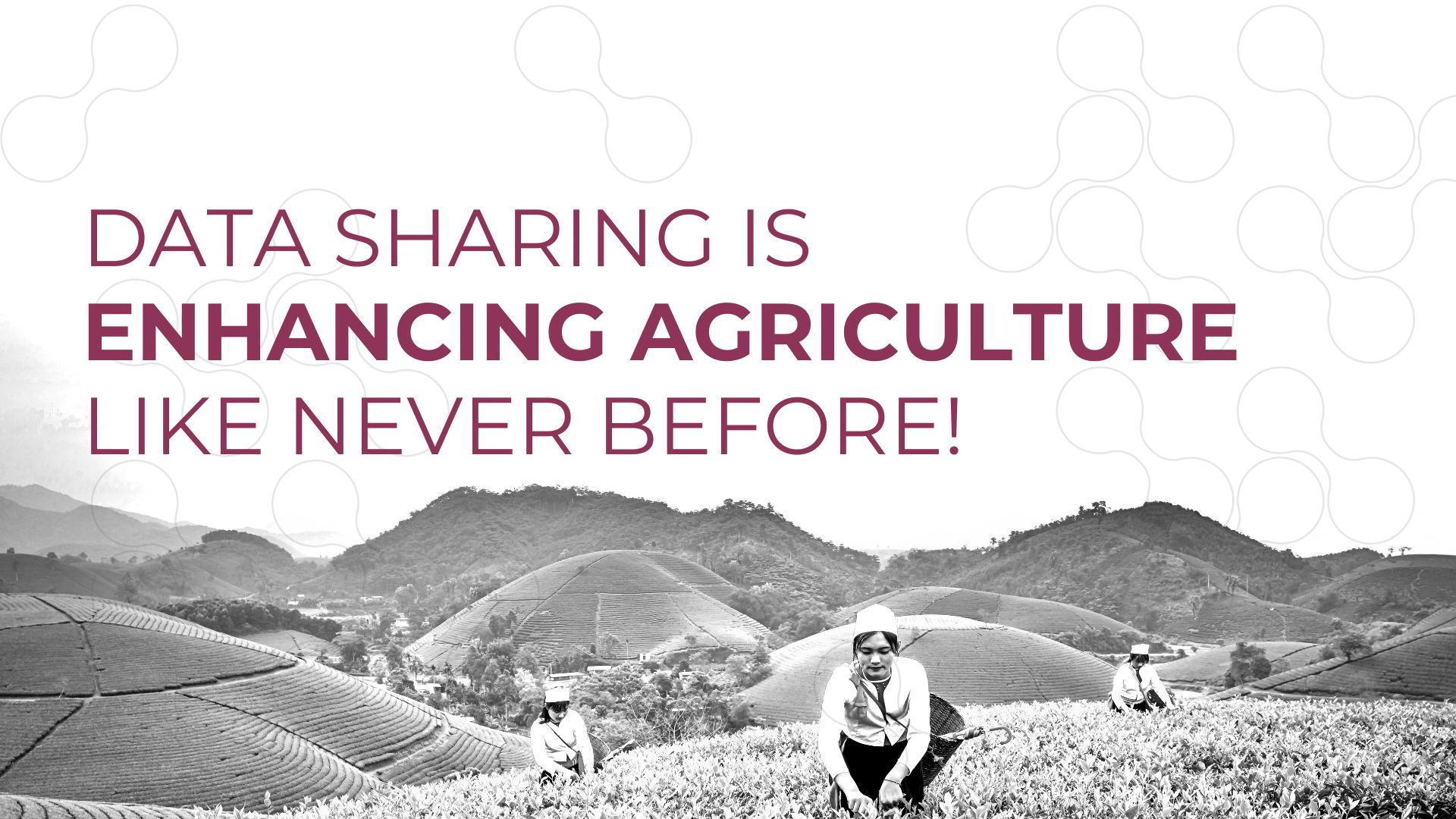 What is the importance of data sharing in Agriculture? - iSHARE
